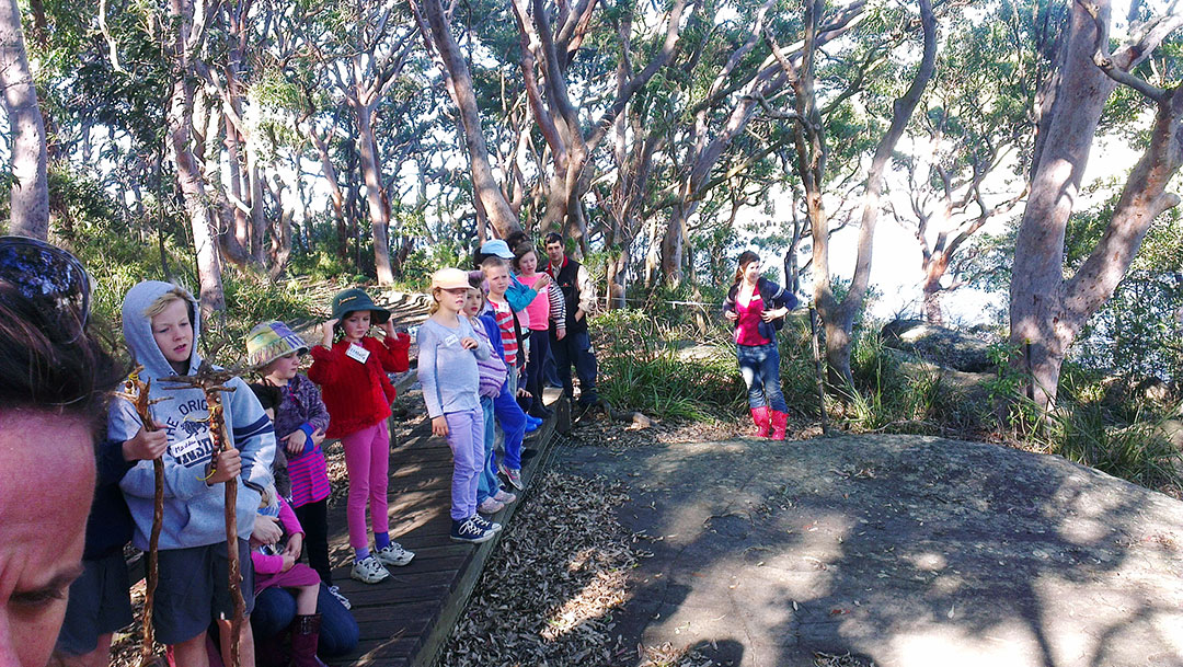 Activities – Lane Cove Bushland & Conservation Society